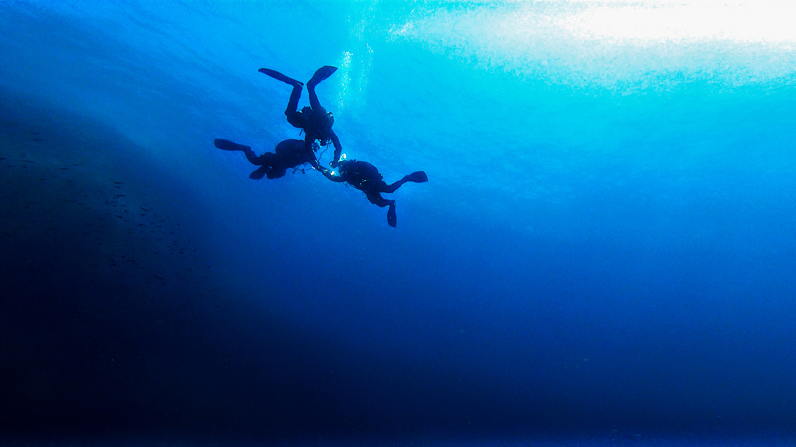 GUE Basic Fundamentals in Italy - Dive House Baltic